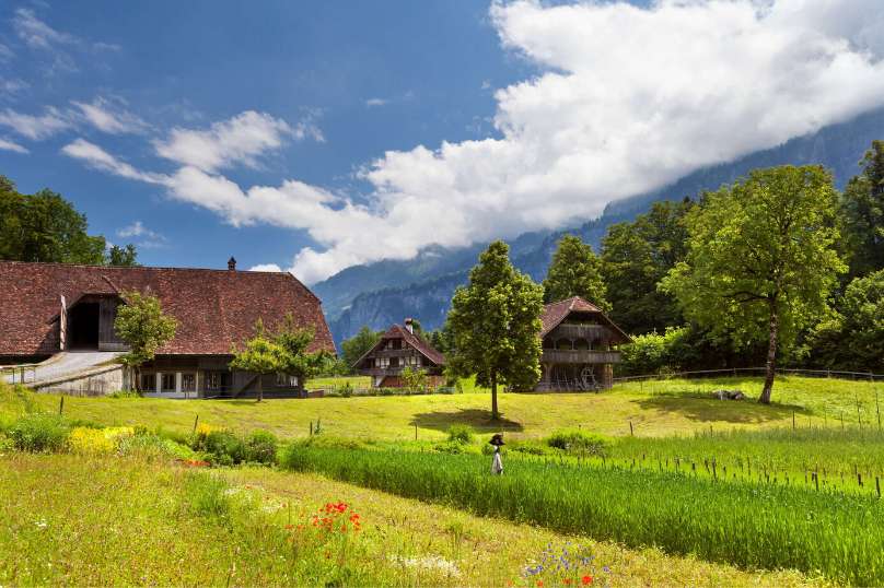 Ballenberg: Switzerland's Open-Air Museum | Lucy On Locale